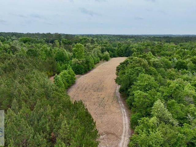 Tract 2 Oscar Tippins Road