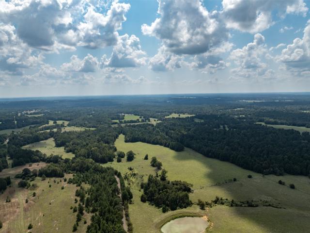 Tract 2 an county road 153