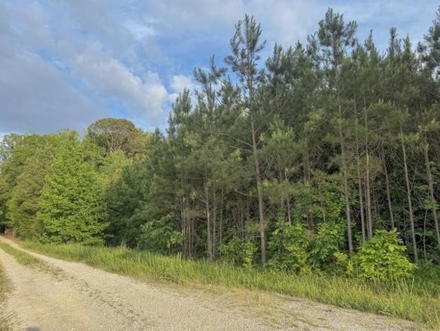 Tract #2 and 3 Dry Branch Rd, Steens, MS 39766