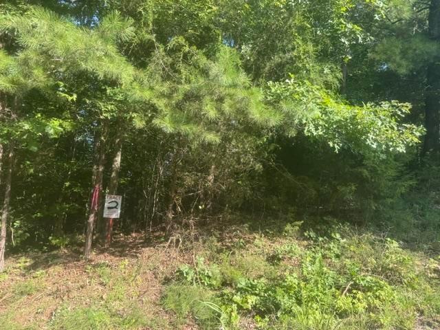Tract 2 belew hollow hill rd