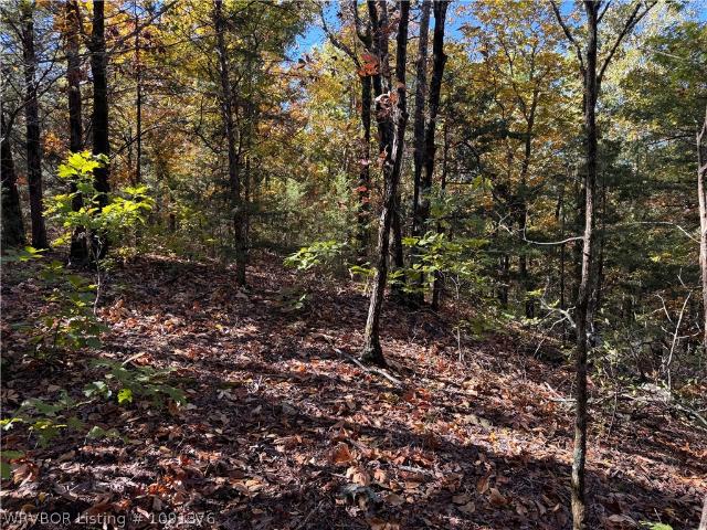 Tract 2 Benson Lane