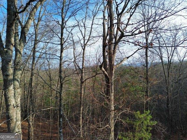 Tract 2 Century Ln, Blue Ridge, GA 30513