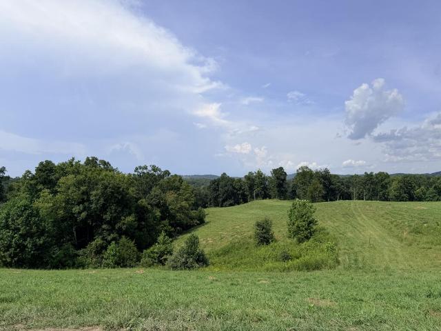 Tract 2 Cherrytree Ln