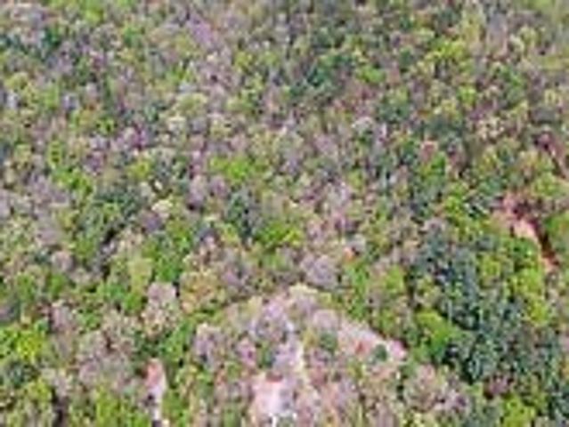 Tract 2 Clayton Gooch Rd, Dahlonega, GA 30533