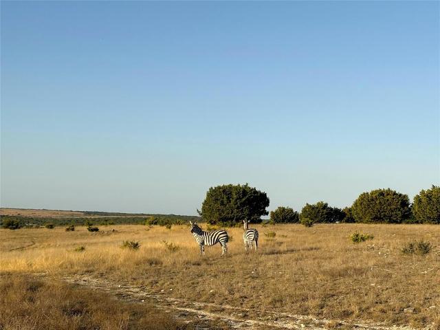 Tract 2 County Road 208