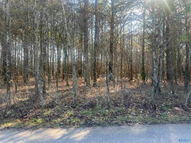 Tract 2 County Road 450
