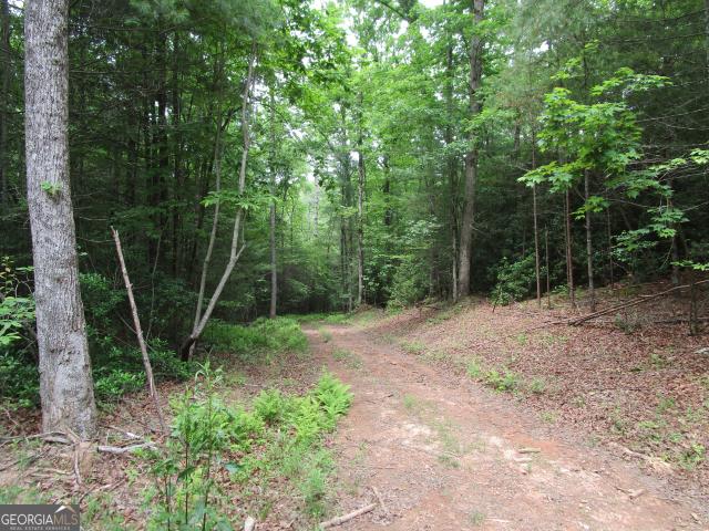 TRACT 2 E New Hope Road