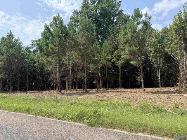 Tract 2 Flanagan Rd, Athens, AL 35614