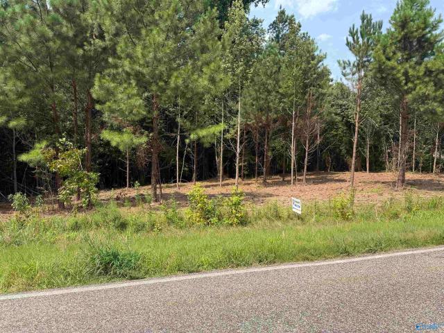 Tract 2 Flanagan Road