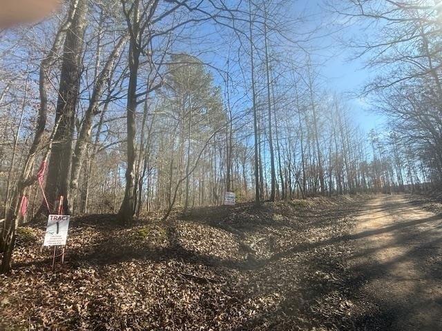 Tract 2 George Walter Rd, Bolivar, TN 38008