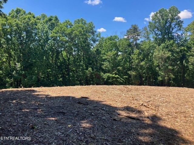 Tract 2 Graves Hollow Rd, Maynardville, TN 37807