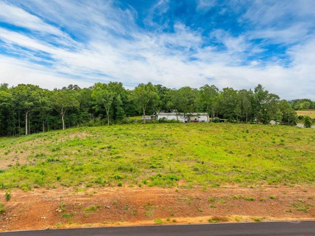 Tract 2 Hwy 65/ Sky Eagle Dr