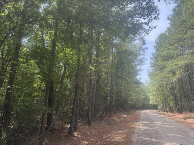 Tract 2 Hardin Graveyard Rd, Enville, TN 38332