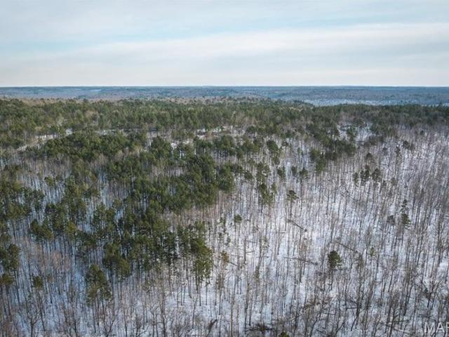 Tract 2 Highway Nn, Grandin, MO 63943