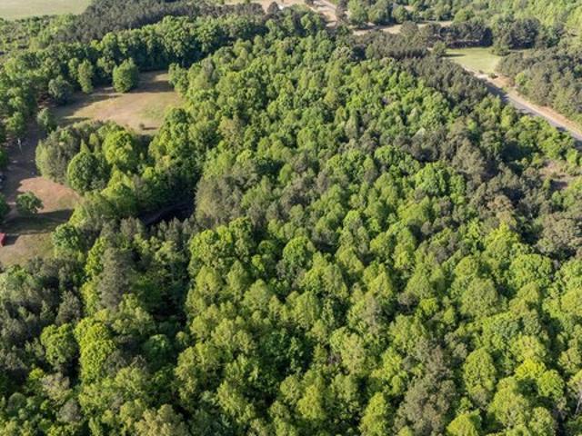 Tract 2 Jones Chapel Rd, Norlina, NC 27563