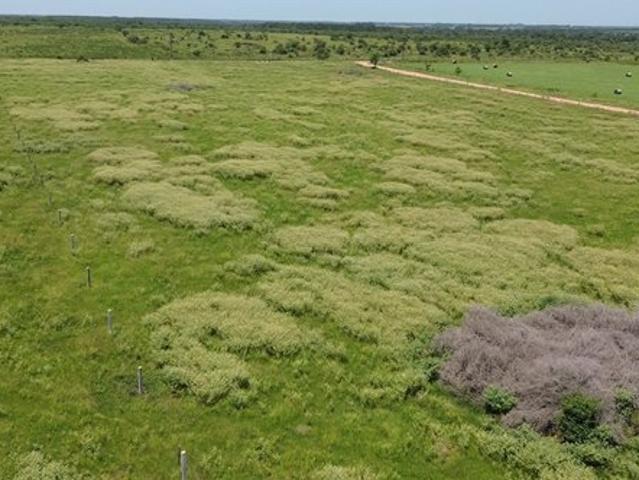 Tract 2 Kveton, Cat Spring, TX 78933