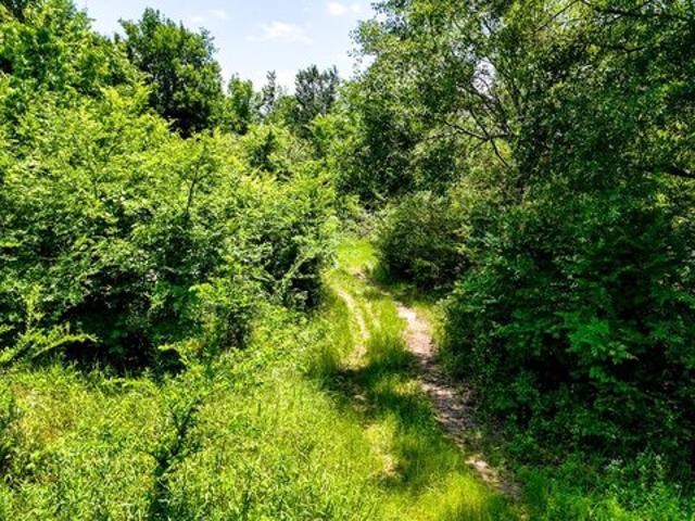 Tract 2 Rural Mccurtain, Glover, OK 74737