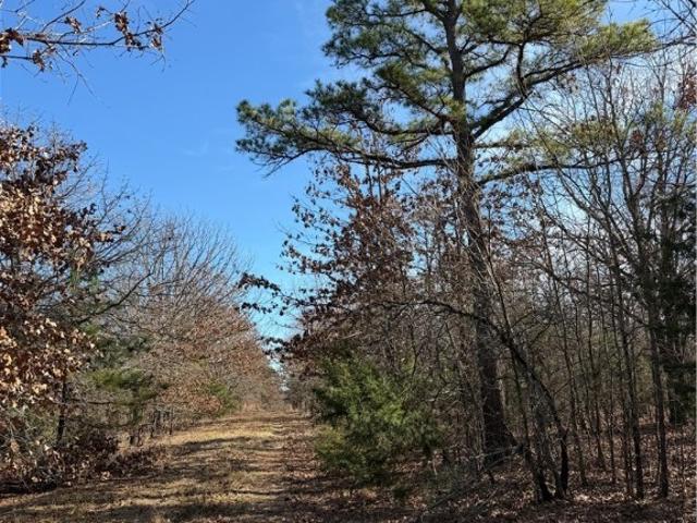 Tract 2 Rural Atoka