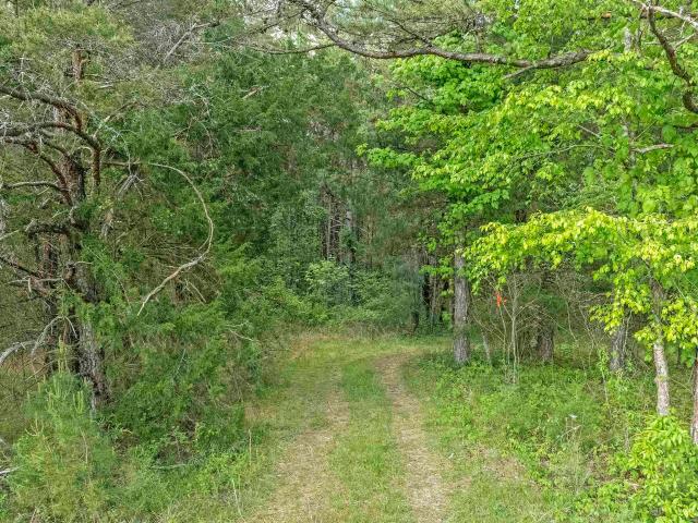 Tract 2 Road 9002