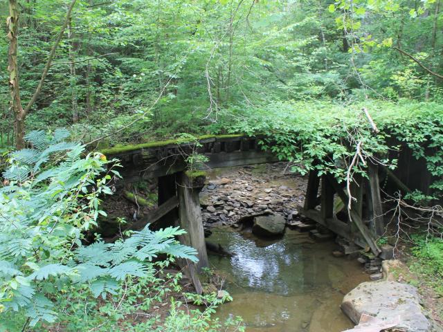 Tract 2 Straight Fork Road
