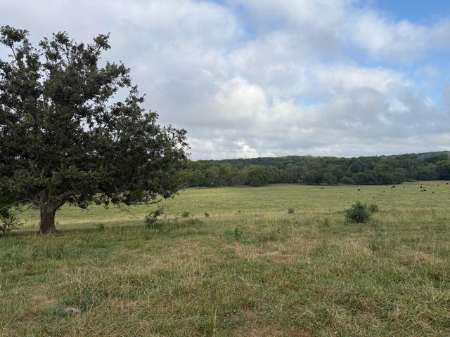 Tract 2 S Farm Road 55