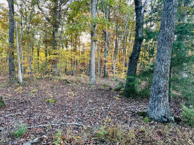 Tract 2 Sam Baughman Rd