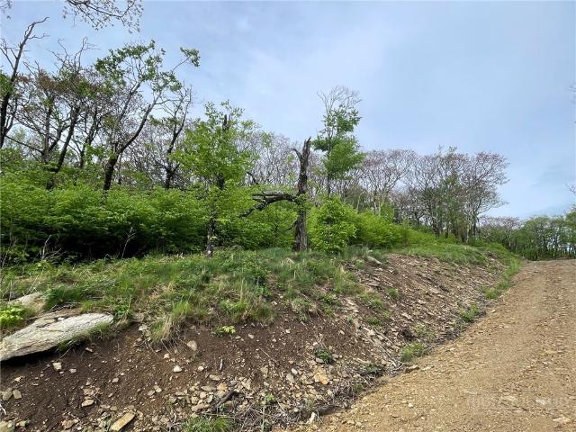 Tract 2 Spur Lane