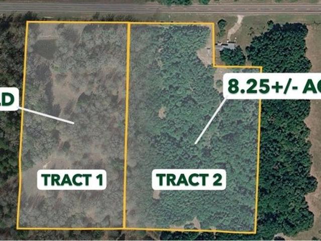 Tract 2 Tbd Fm 1365, Teague, TX 76667