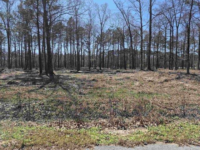 Tract 2 Tbd Lanni Ln, White Hall, AR 71602