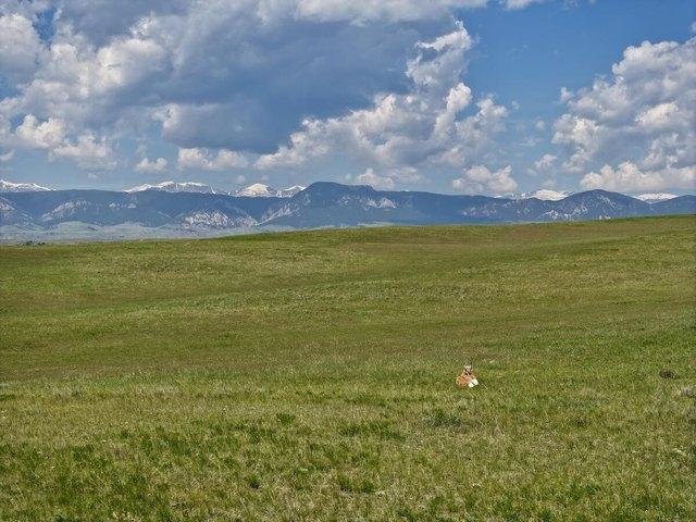 Tract 2 Trabing Rd, Buffalo, WY 82834