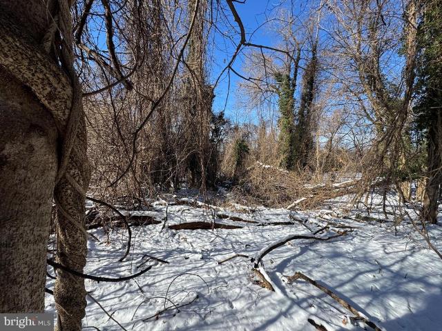 Tract 2: 0.42+/ ACRES Oak Ave