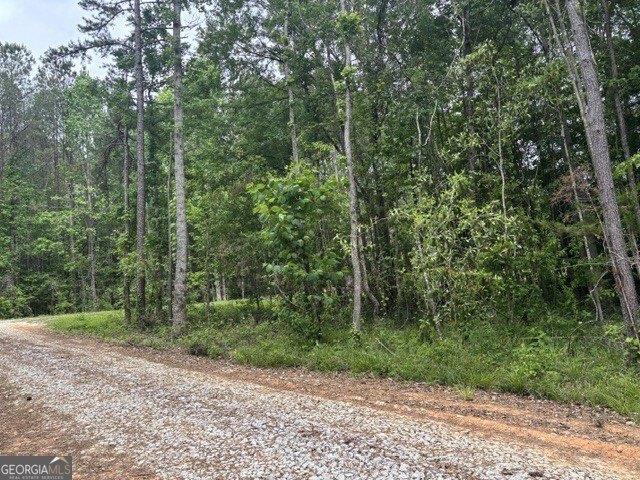 Tract 2 343 County Road 892, Wedowee, AL 36278