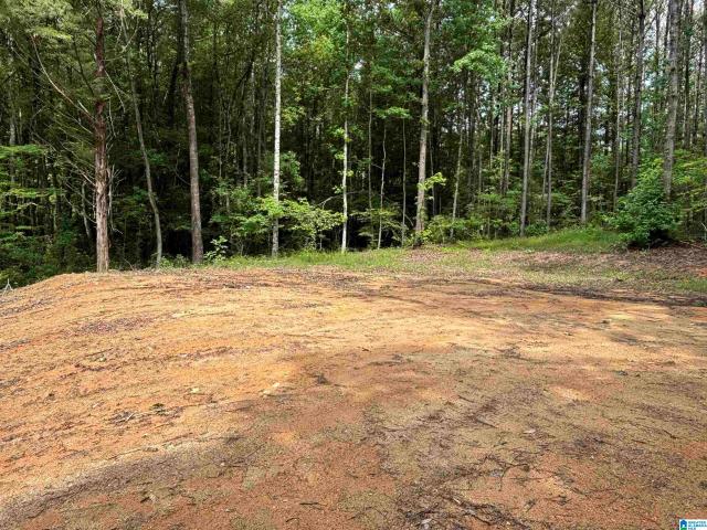 Tract 2 343 COUNTY ROAD 892 # Tract 2