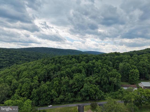 TRACT 2:52+/ ACRES AT 22 Hickory Trail