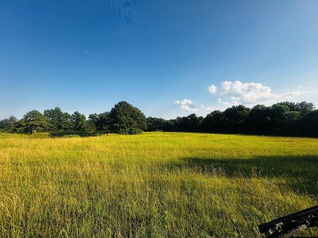 Tract 2A Audrain Rd # 935, Mexico, MO 65265