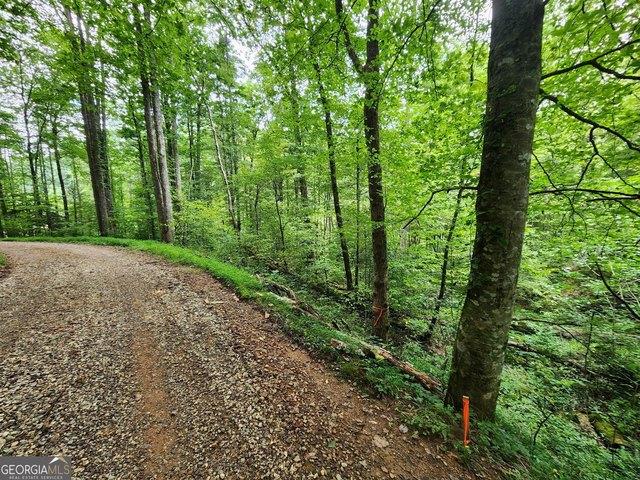 Tract 2B Poplar Cove Trl, Suches, GA 30572
