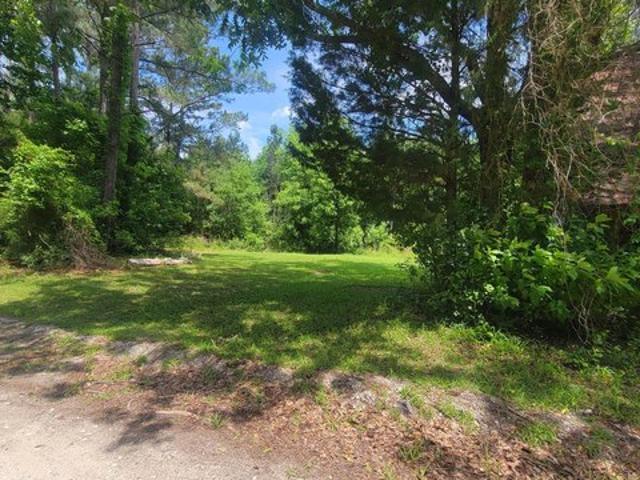 Tract 3 Old Blakes Bridge Rd Lot 3, Burgaw, NC 28425