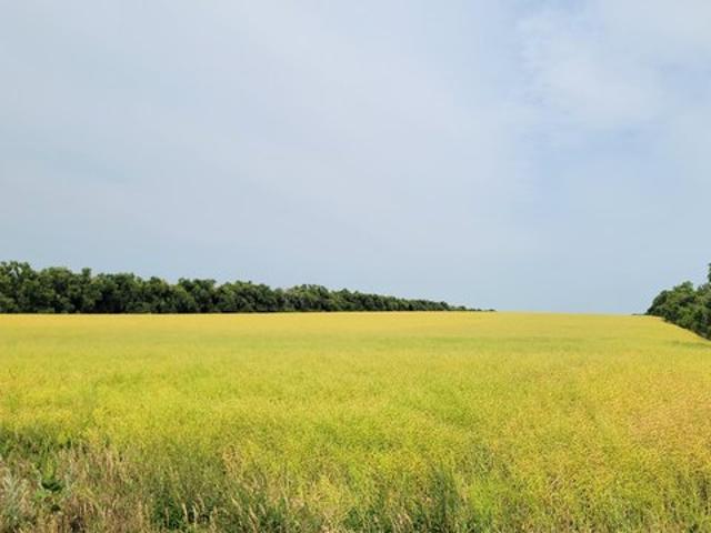 Tract 3 on 66th St SE, Bismarck, ND 58501