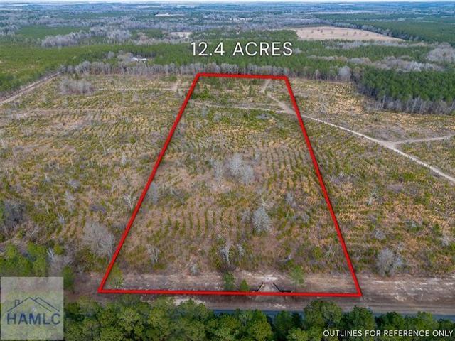 Tract 3 Bell Line Rd, Eastman, GA 31023