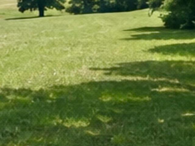 Tract 3 Bowman Ln