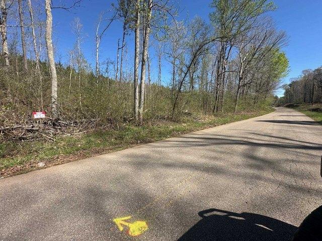 Tract 3 Bruton Branch Rd, Savannah, TN 38372