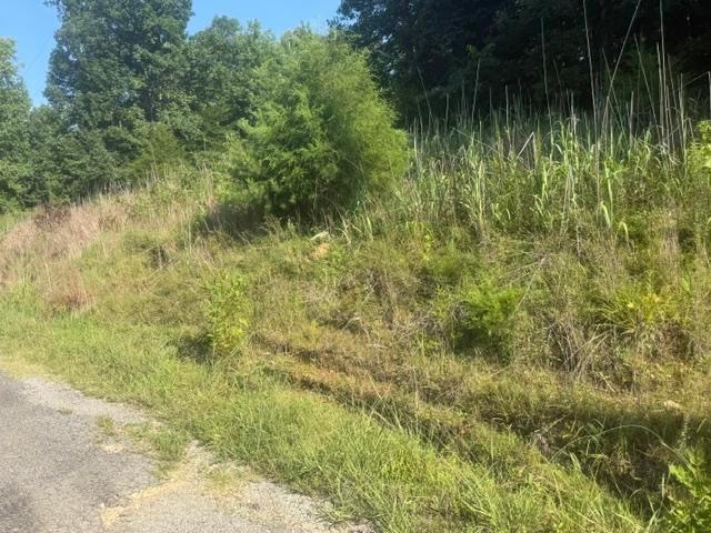 Tract 3 carroll hollow rd