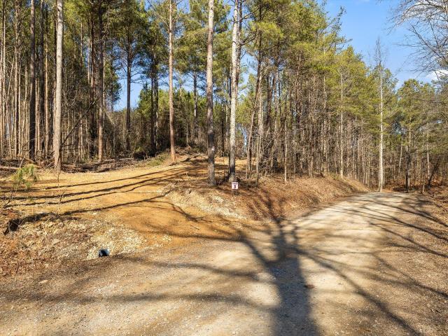 Tract 3 Conniston Road