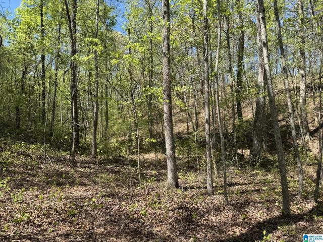 Tract 3 county road 268 # 3