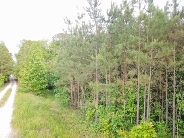 Tract #3 Dry Branch Road