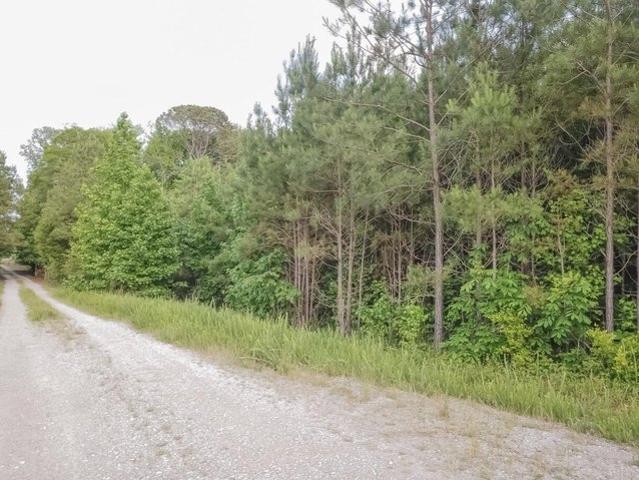 Tract 3 Dry Branch Rd, Steens, MS 39766
