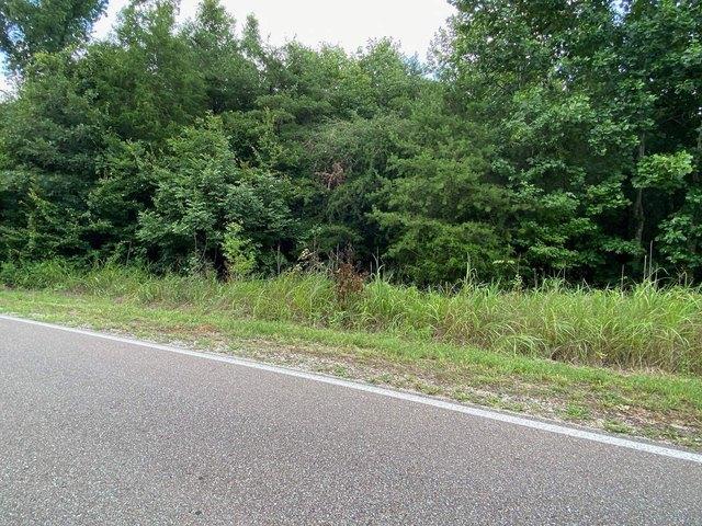 Tract 3 Glendale Rd Lot TRACT3, Morris Chapel, TN 38361