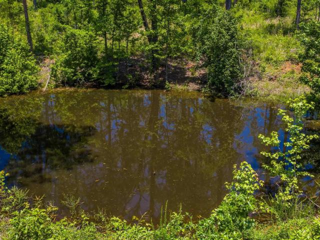 Tract 3 Hwy 124