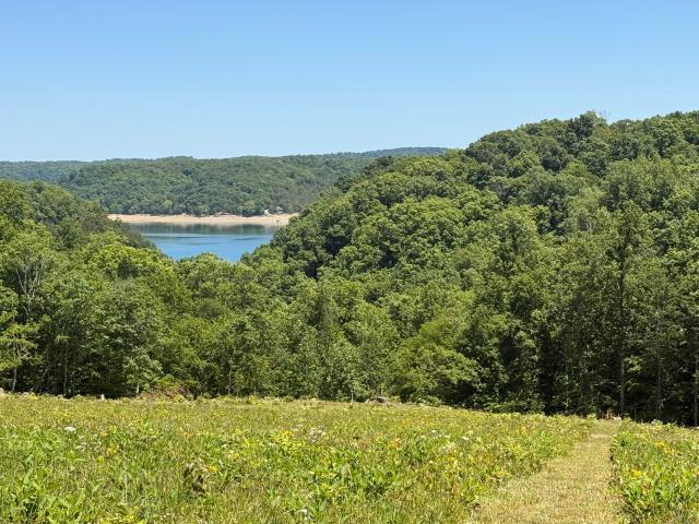 Tract 3 Hwy 196