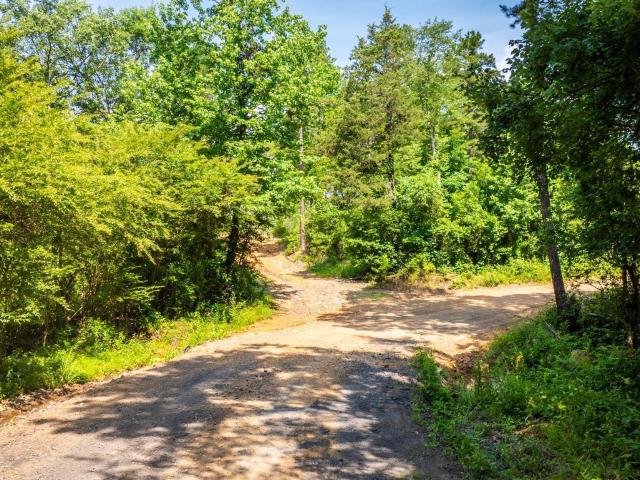 Tract 3 Harmony Mountain Road